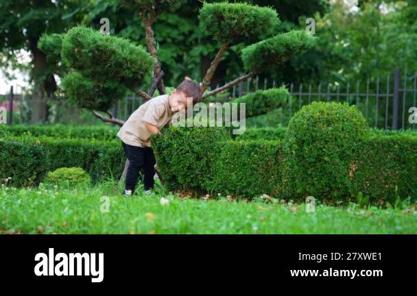 Lovely cute kid stands at the green bush cut as a ball. Healthy active ...