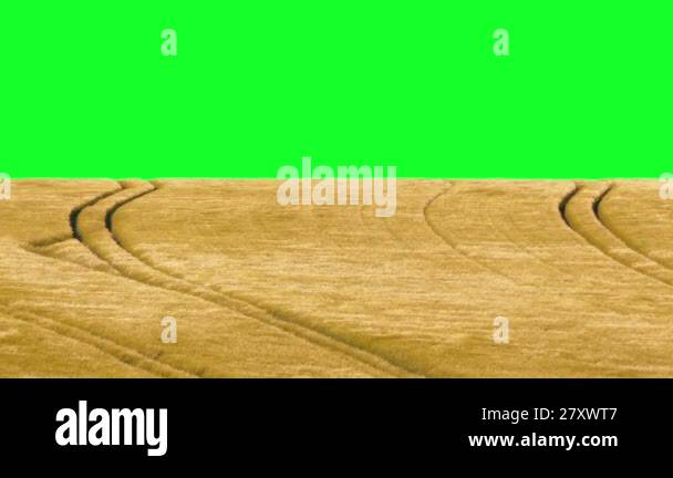 Wheat Field In Wind Isolated Greenscreen Stock Video Footage - Alamy