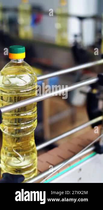 Industry of producing natural cooking oil. Packed bottles of refined ...