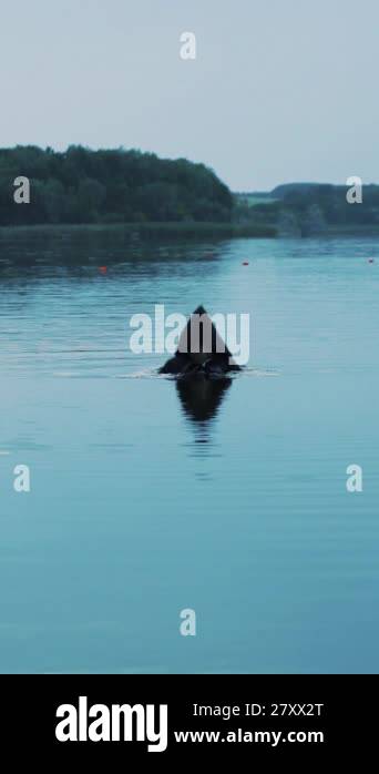 Horror woman soaking in water river. Scary figure in black mantle ...