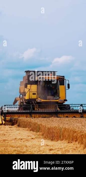 Modern combine harvester working in the field. Farmer gets on a combine ...
