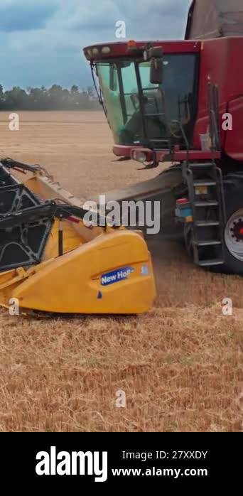 Big mchine for gathering crops. Big agricultural combine harvesting on ...