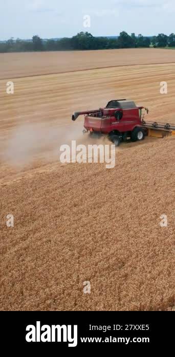 Countryside summer machinery work. Big combine working in yellow wheat ...