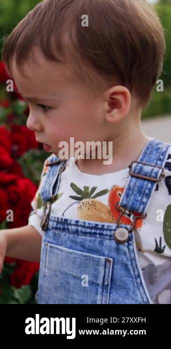Sweet Caucasian child walking near the beautiful flower bed. Kid ...