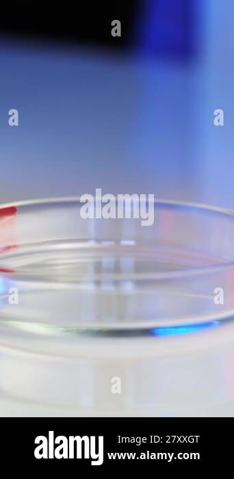 Sample procedure Stock Videos & Footage - HD and 4K Video Clips - Alamy