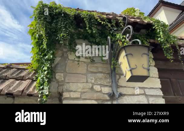 Coarse stone wall with streetlight, overgrown with climbing plants ...