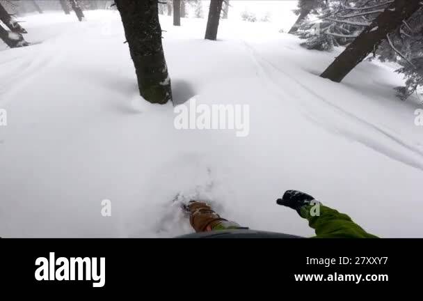 Snowboarder rides among the trees by the deep snow. Sportsman stops and ...