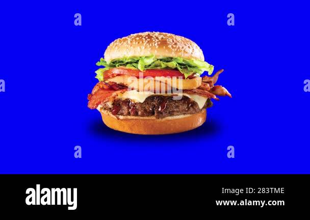 Burger Animation restaurant menu on blue screen, green screen Stock ...