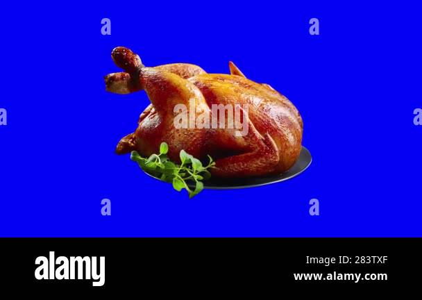 Animated BBQ meat, Fried Chicken animation restaurant menu on blue ...