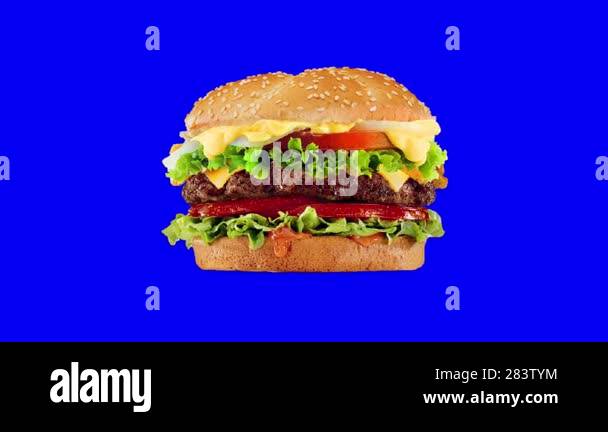 Burger Animation restaurant menu on blue screen, green screen Stock ...