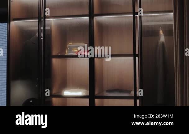 This is a sleek wardrobe designed with stylish illuminated shelves ...
