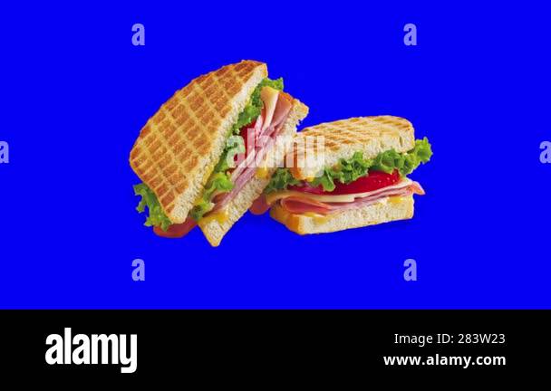 Animated Mexican tacos with vegetable. Tacos restaurant menu on blue ...