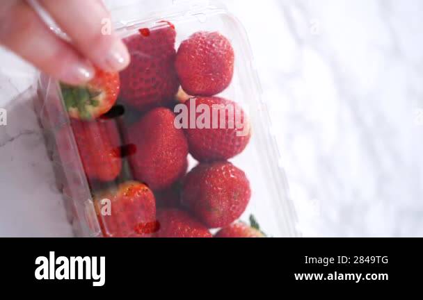 Fresh strawberries are showcased in their original store-bought plastic ...