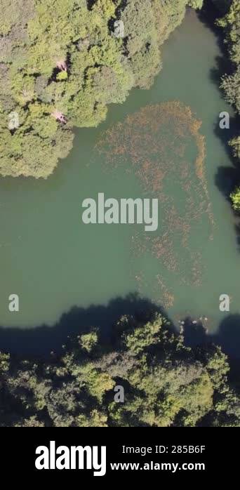 An incredibly beautiful lake with a wooded park, a green natural ...