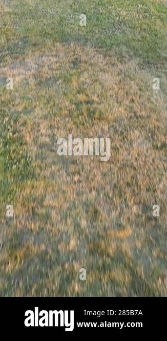 Aerial view of the central park, a park with social facilities and sitting on the grass at ...