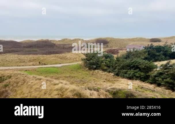 Beautiful Danish coastline landscape in the summer. Danish Coast. Dune ...