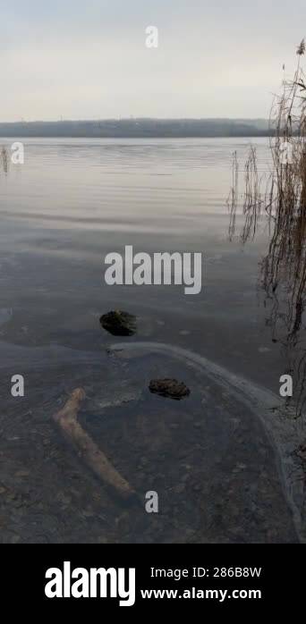 Gasoline or oil stain spill water pollution. Industrial oil fuel stain ...