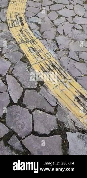 A beautiful, shaded park with yellow marked paths for the disabled ...