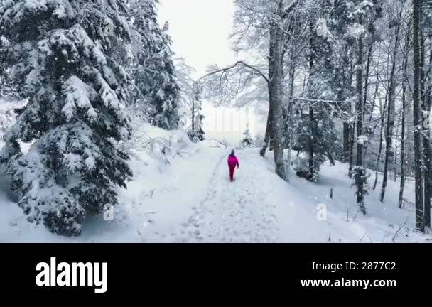 Aerial view of walking woman in red on mountain road in beautiful foggy ...