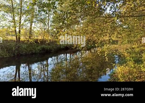 Autumn landscape. Dry leaves fall on water surface of river. Yellow ...