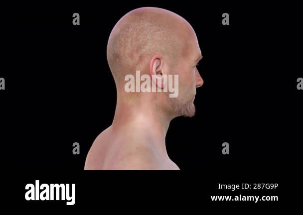 3D animation of a mans head and face rotating 360 degrees Stock Video ...