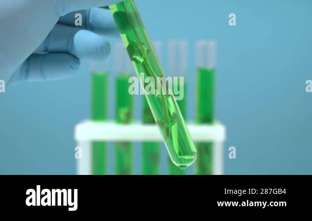 Biotechnology lab. Plant sprout in a test tube. Scientific laboratory ...