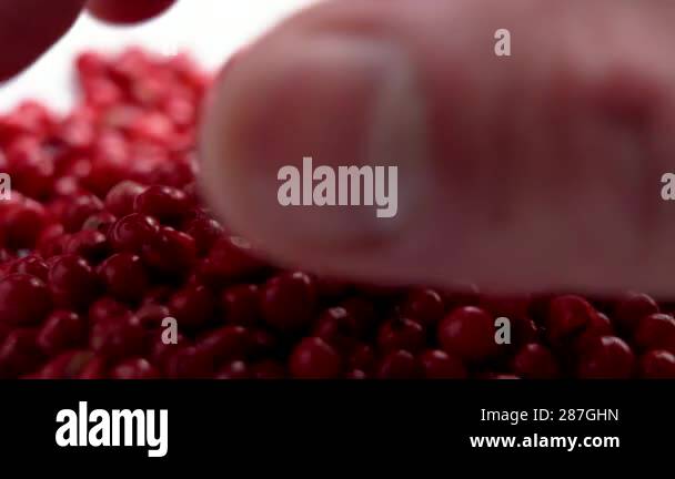 Hand taking a handful of dried pink pepper seeds. Vibrant red spice ...