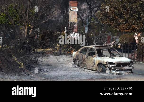 Static footage of a burned car and scorched trees after a wildfire in ...