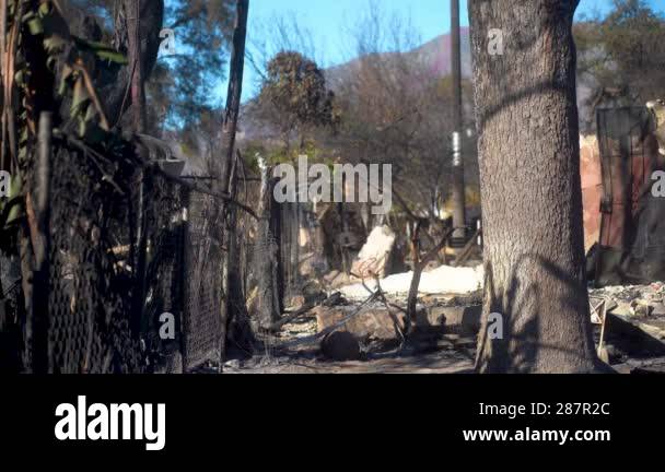 Close up footage of a charred fence and burned trees in Pasadena ...