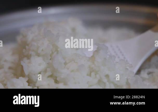 A close up of freshly cooked steaming white rice being scooped with a ...