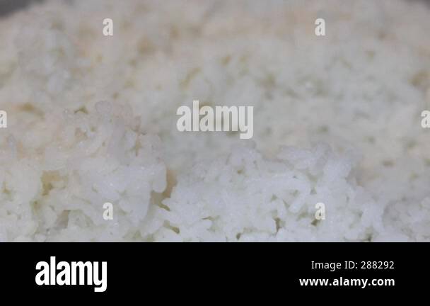 A close up of freshly cooked steaming white rice being scooped with a ...