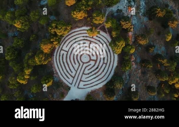 Top view of circular labyrinth surrounded by lush greenery. Hedge maze ...