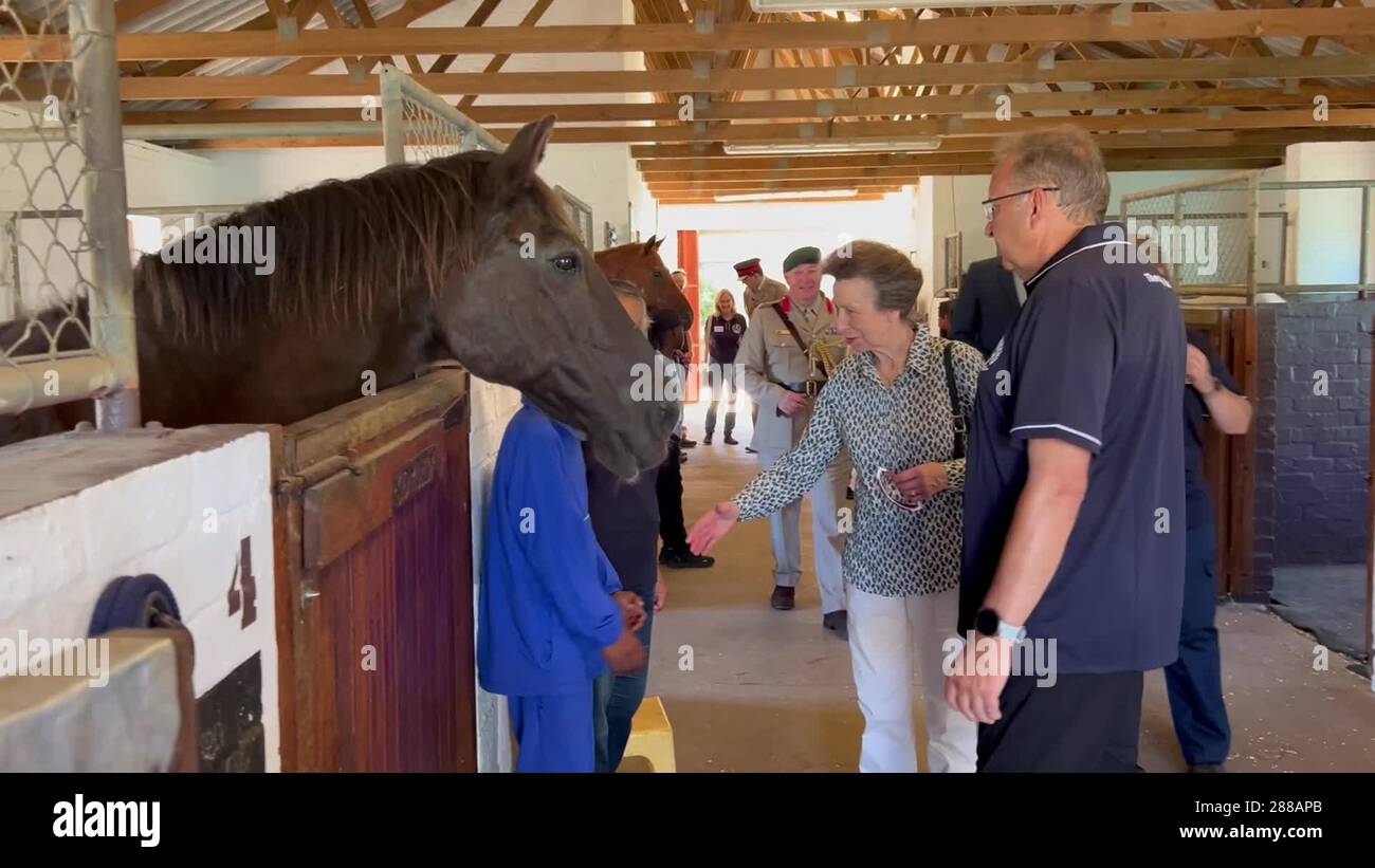 Anne begins two-day trip to South Africa with visit to horse riding ...