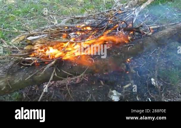 Big orange bonfire burns in the meadow -10s Stock Video Footage - Alamy