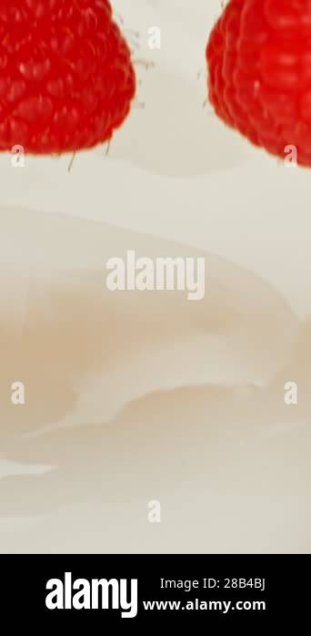 Pouring Raspberries Into Cream, Splashing, Top View Composition. Freeze ...