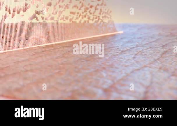 Microdermabrasion and Skin dead cells exfoliation with laser. Dry and ...