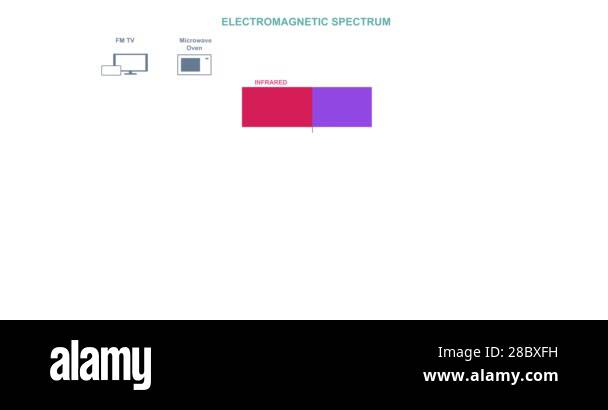 Electromagnetic Spectrum. Moving banner or infographic with wave ...