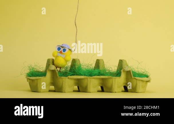 funny easter stop motion animation chicken in nest eggs time lapse ...