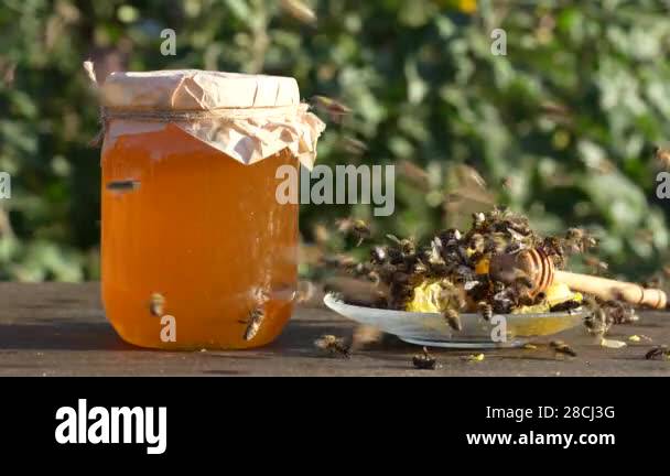 Fresh honey with wooden honey dipper and wild bees on sunny day against ...