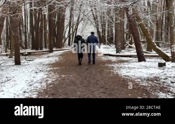 Mature couple going on snowy path at winter pine forest. Senior husband ...