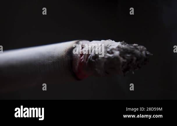 Close up of cigarette ember and smoldering tobacco on a black ...