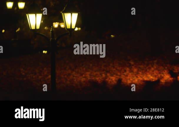 A warm-toned night scene featuring a vintage-style street lamp glowing ...