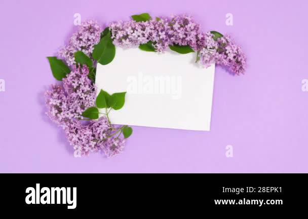 Natural twigs and flowers of lilacs appear around a rectangular white ...