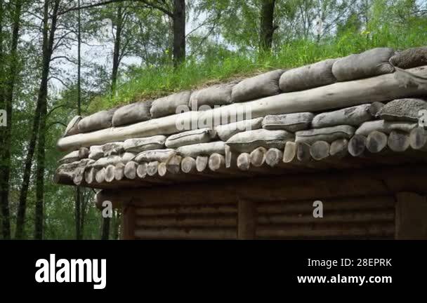 Log bunker Stock Videos & Footage - HD and 4K Video Clips - Alamy