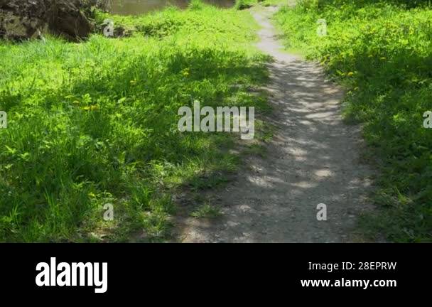 Narrow dirt path grass Stock Videos & Footage - HD and 4K Video Clips ...
