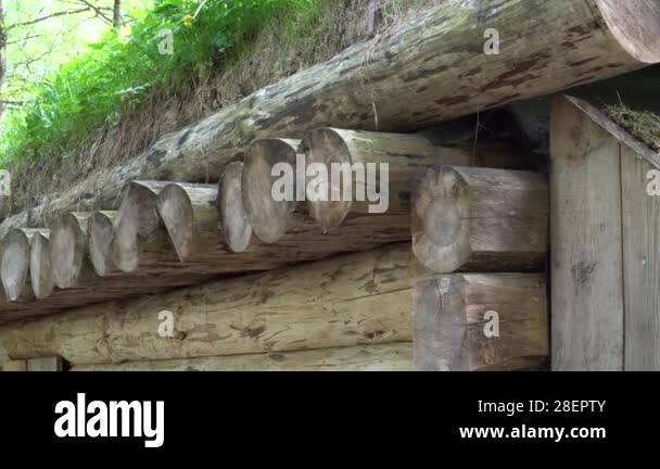 Detailed view of a log cabin's robust construction, featuring large ...