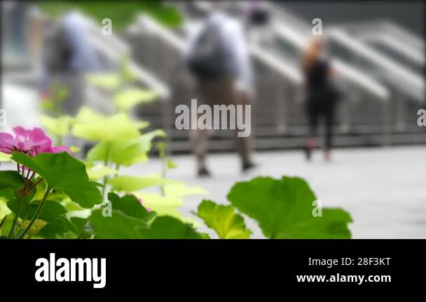 New York City Manhattan Midtown Lexington avenue, United States ...