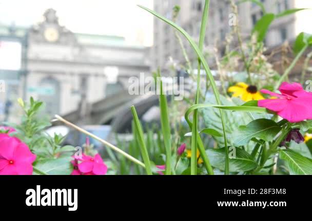 New York City Grand Central Terminal railway station building on 42 ...