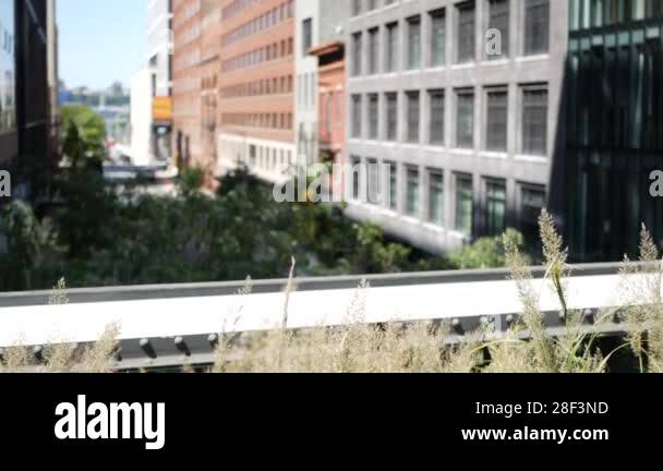 New York City High Line elevated greenway, Manhattan Midtown, USA ...