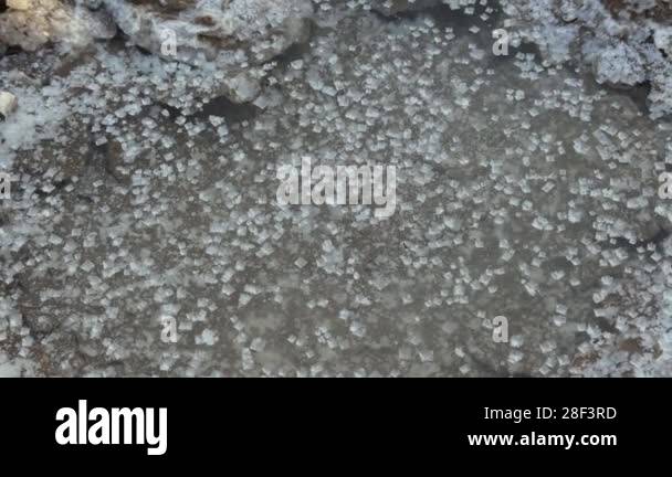 Natural salt crystals form intricate patterns in a saline environment ...